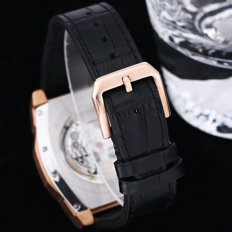 Indistinguishable IWC Watches