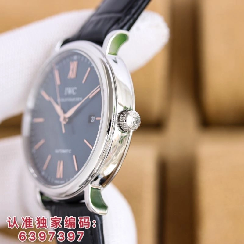 Discounted IWC Watches