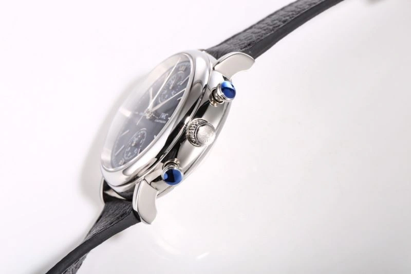 Indistinguishable IWC Watches