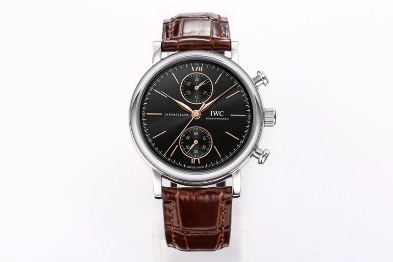 IWC Watches