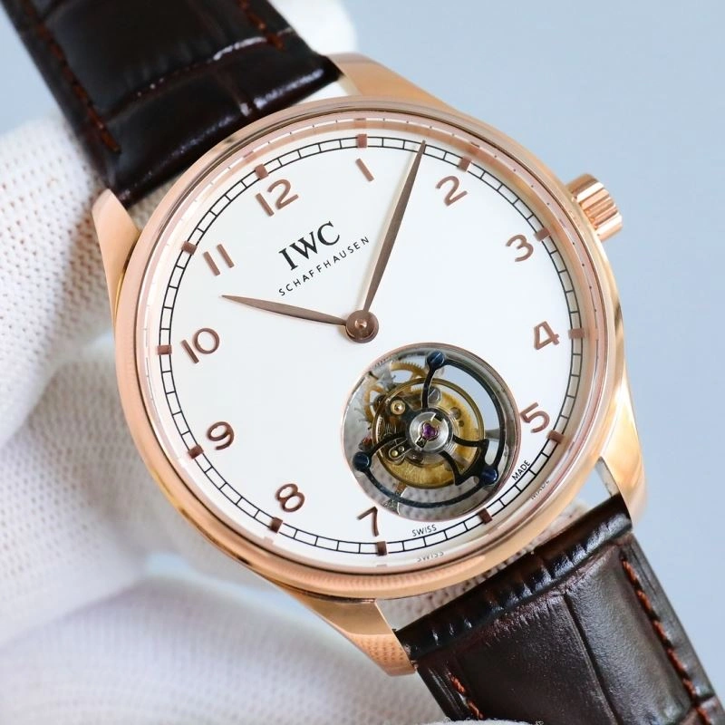 Indistinguishable IWC Watches
