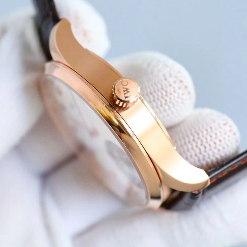 Indistinguishable IWC Watches