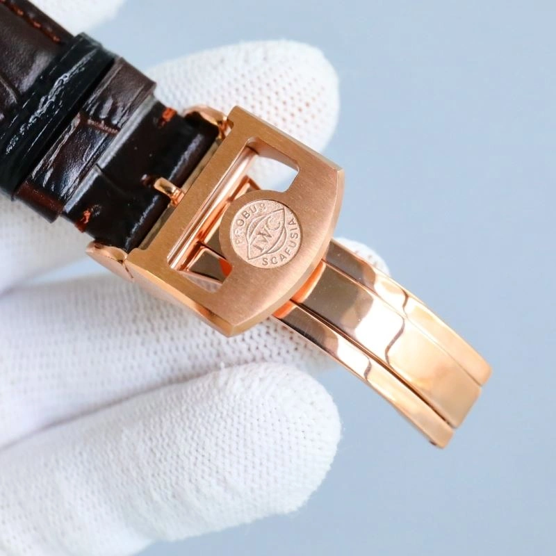 Indistinguishable IWC Watches