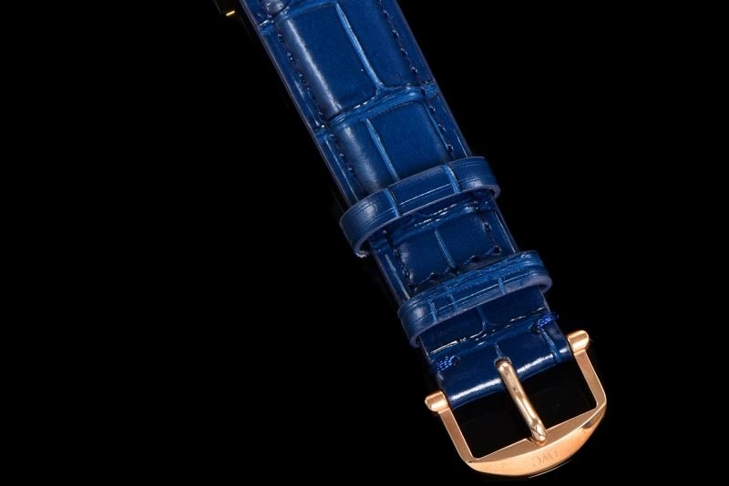 Economical IWC Watches