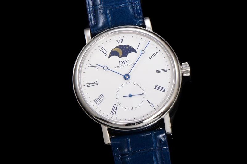 Reasonably priced IWC Watches