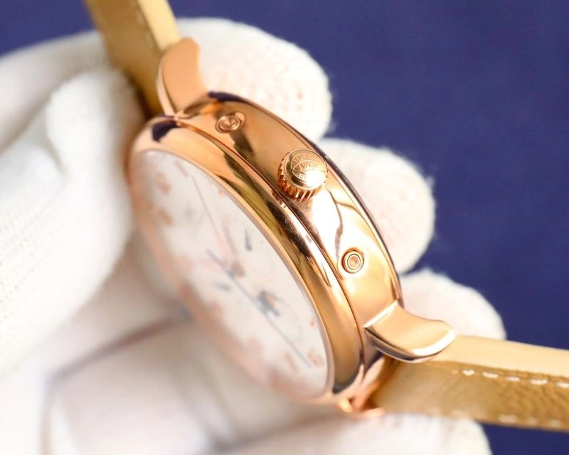 Top mirror IWC Watches