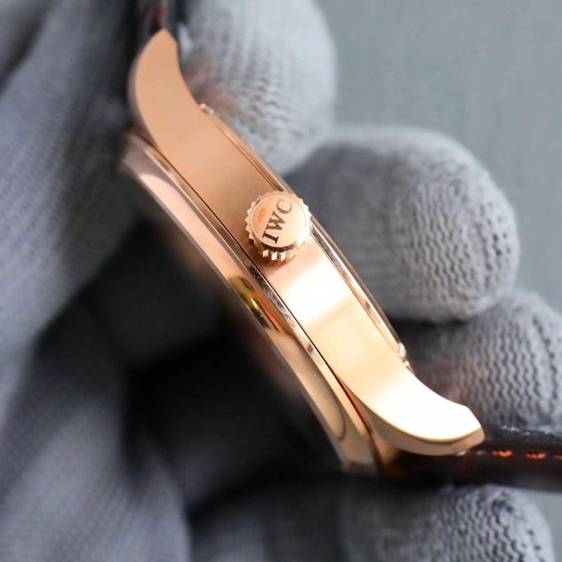 Factory-made IWC Watches