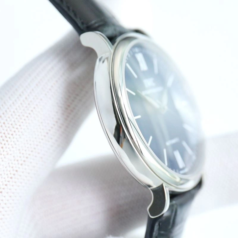 Discounted IWC Watches