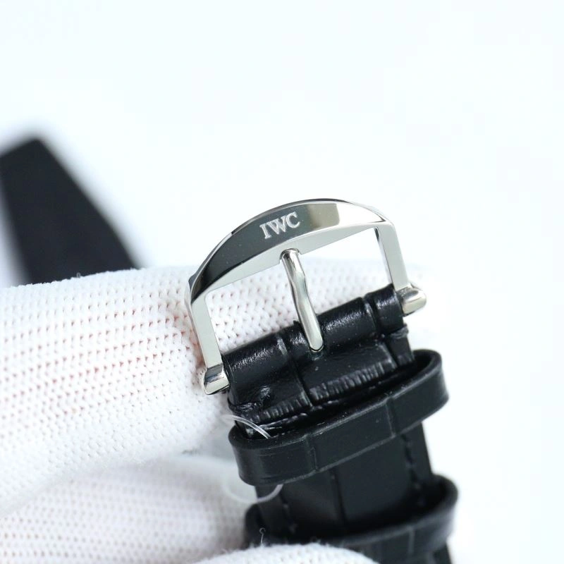 Discounted IWC Watches
