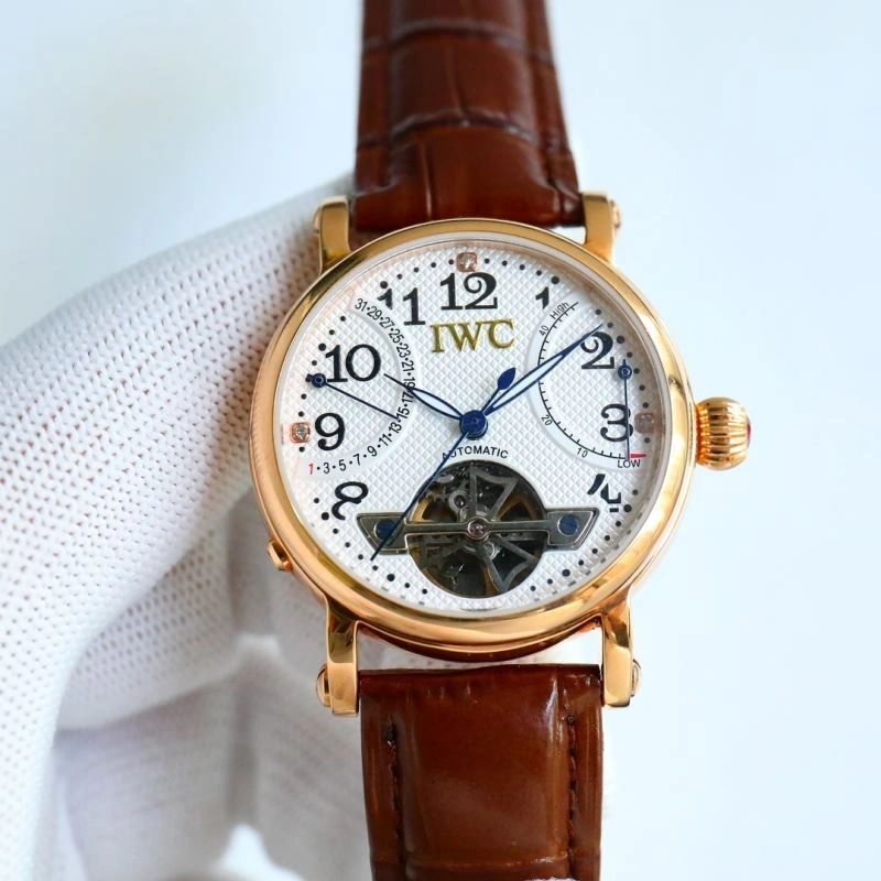 Affordable IWC Watches