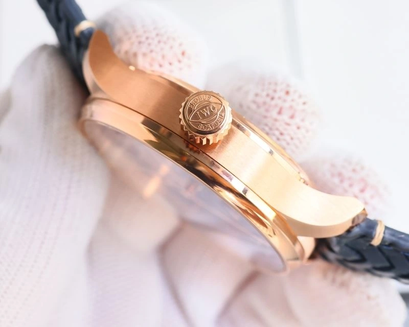 Affordable IWC Watches