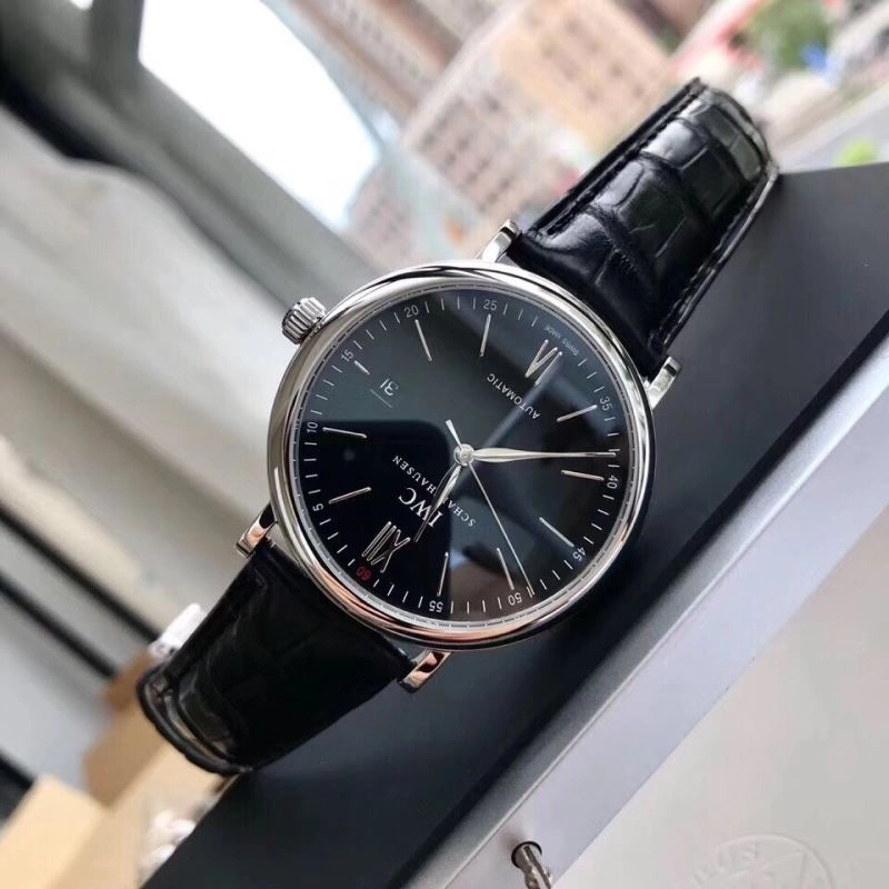 Reasonably priced IWC Watches