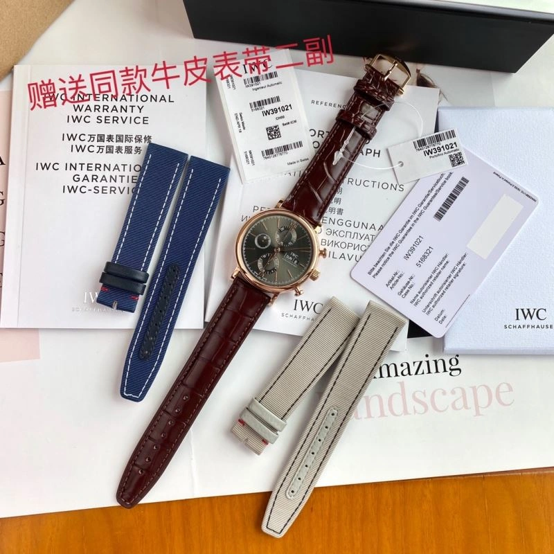 Precise copy IWC Watches