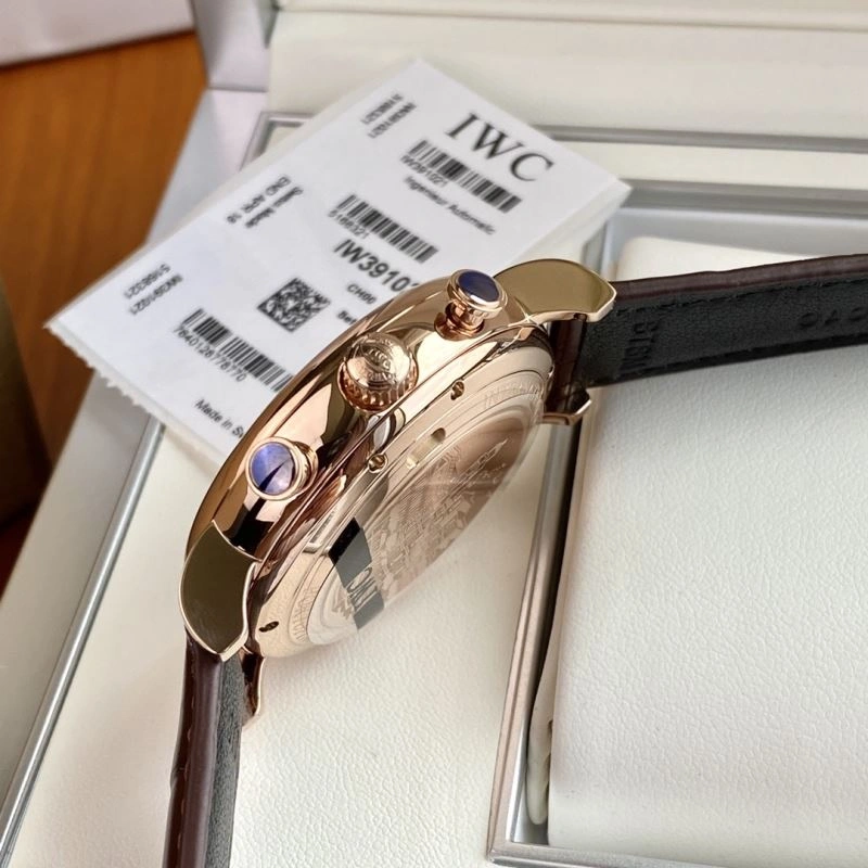 Precise copy IWC Watches