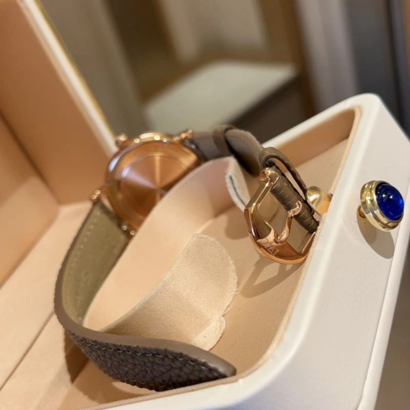 OEM IWC Watches