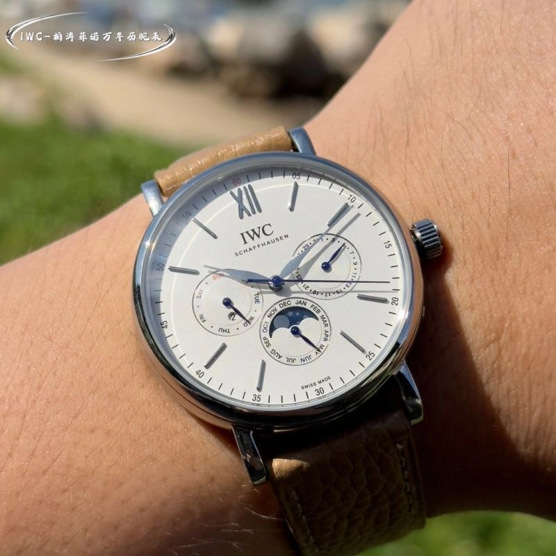 Reasonably priced IWC Watches
