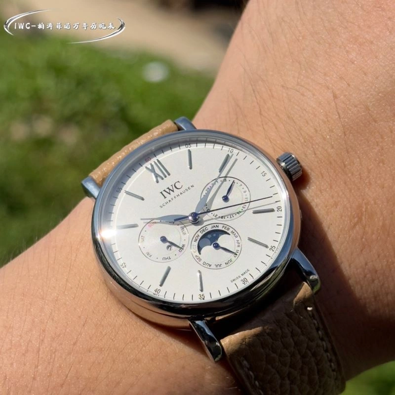 Reasonably priced IWC Watches