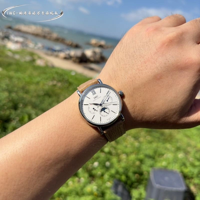 Reasonably priced IWC Watches