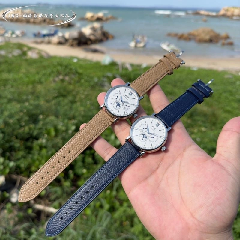 Reasonably priced IWC Watches