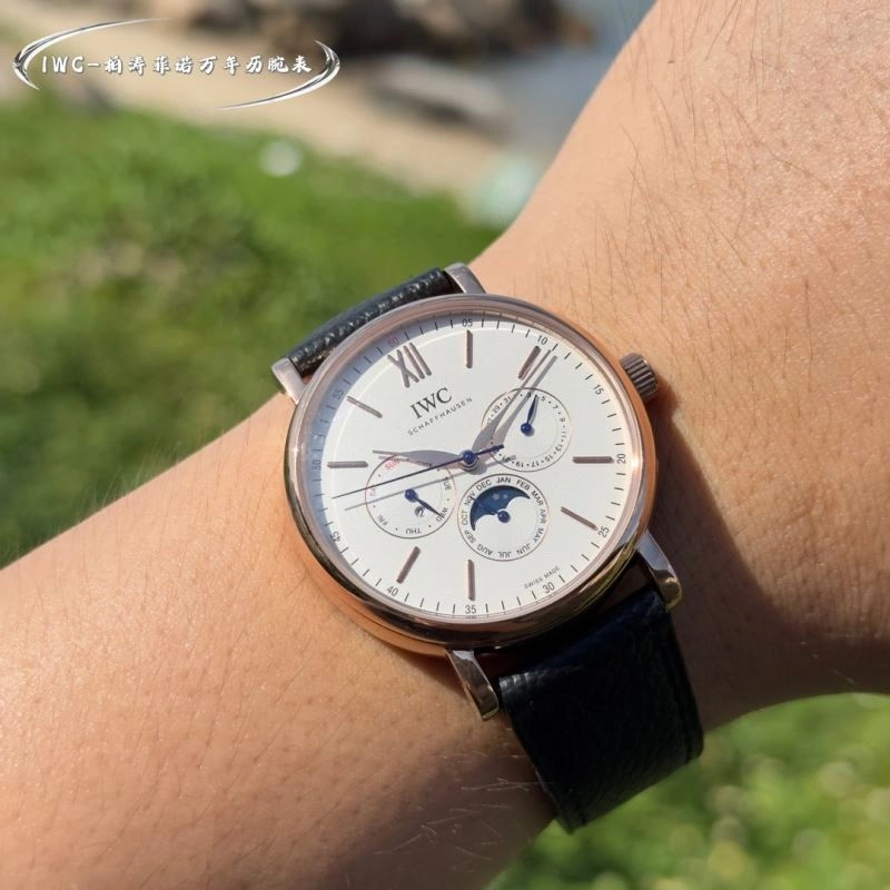 Budget-friendly IWC Watches
