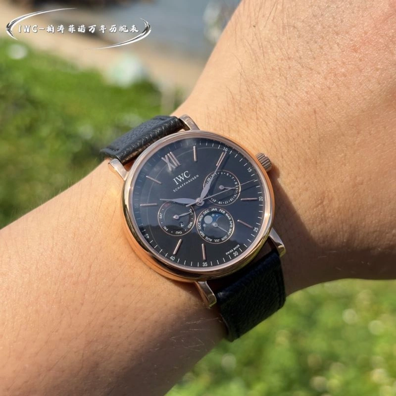 IWC Watches