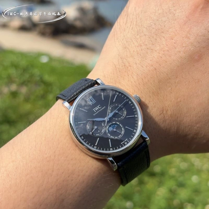 IWC Watches