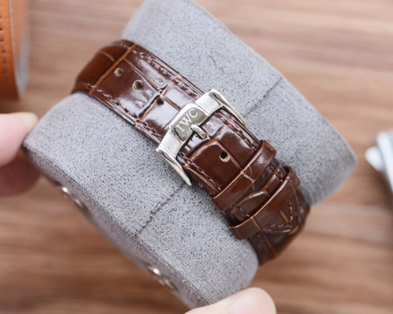 Discounted IWC Watches