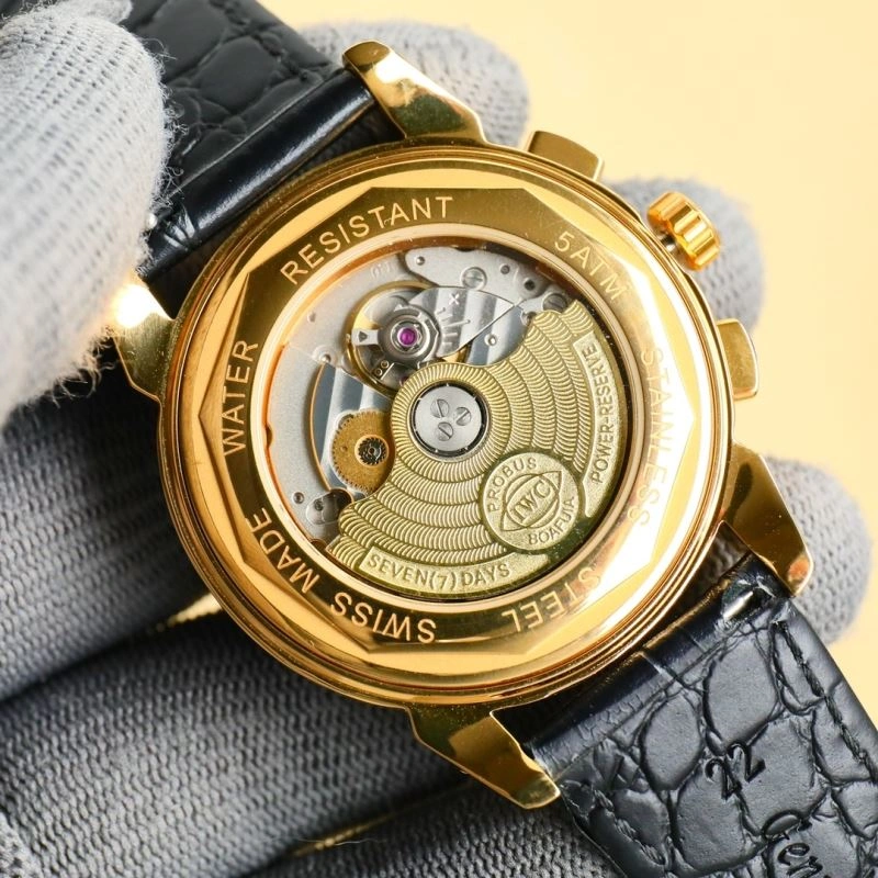 Affordable IWC Watches