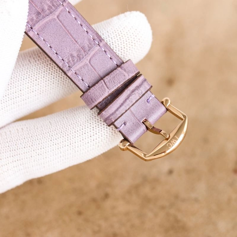 Top match IWC Watches