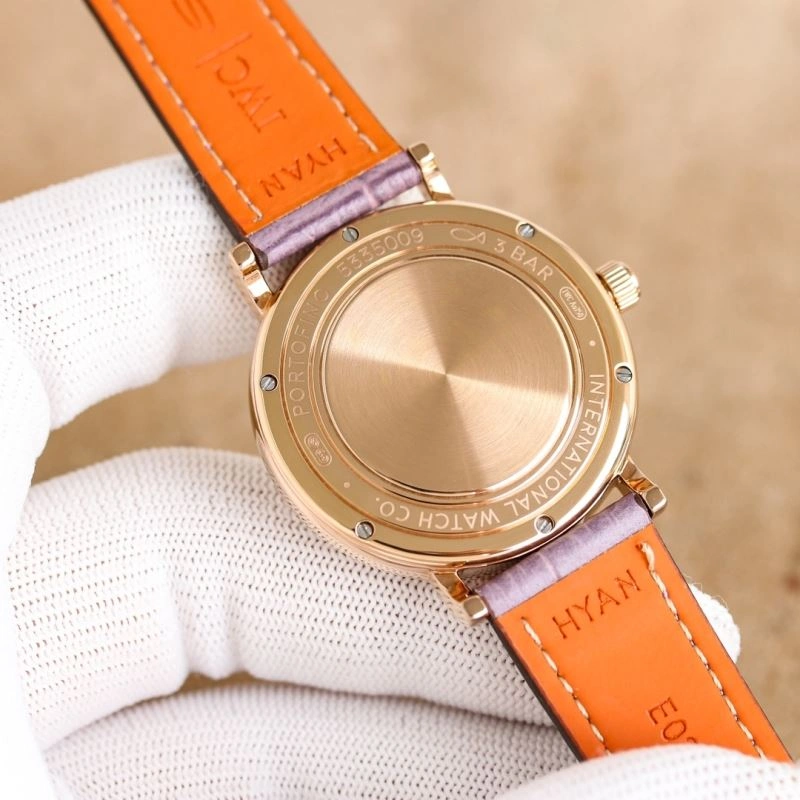 Top match IWC Watches