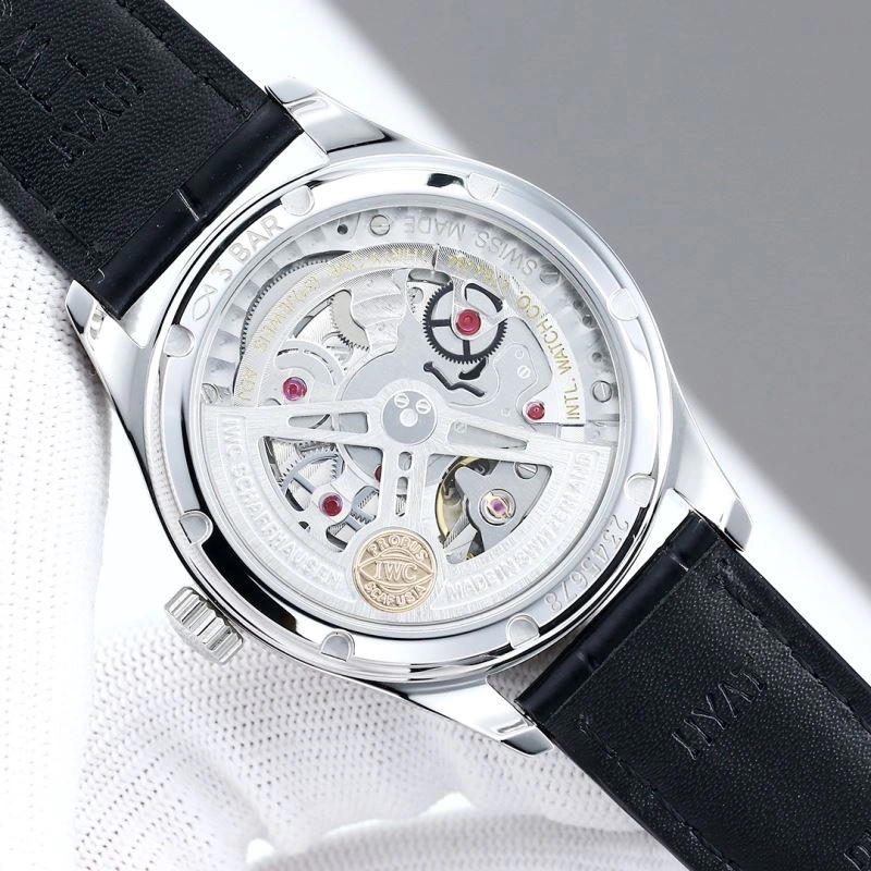 Affordable IWC Watches