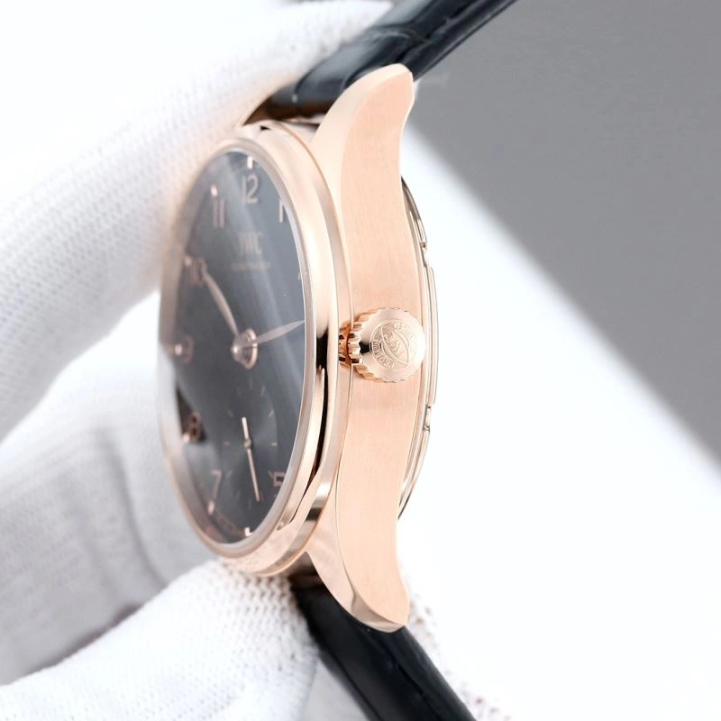 Top match IWC Watches