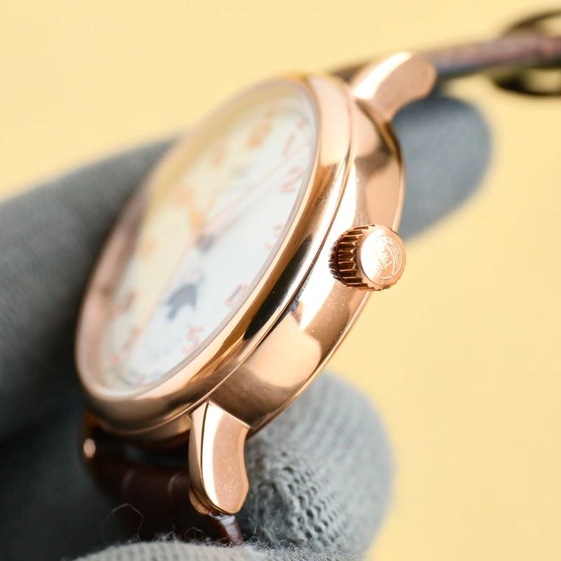 Discounted IWC Watches