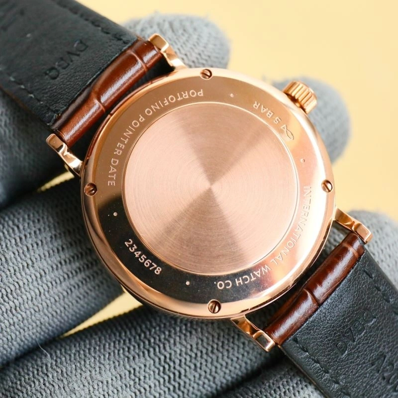 Discounted IWC Watches