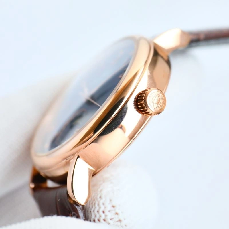 Affordable IWC Watches