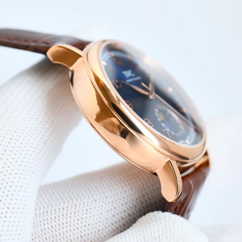 Affordable IWC Watches