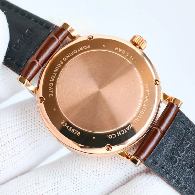 Affordable IWC Watches