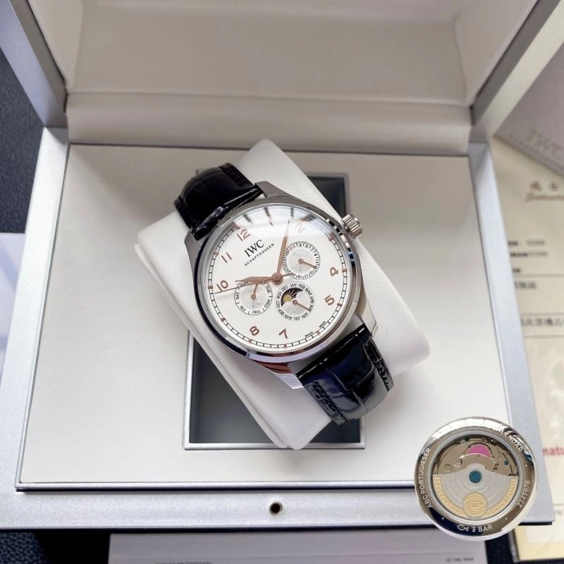Indistinguishable IWC Watches