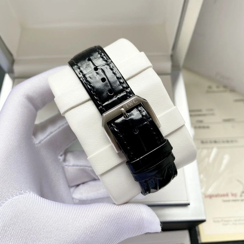 Indistinguishable IWC Watches