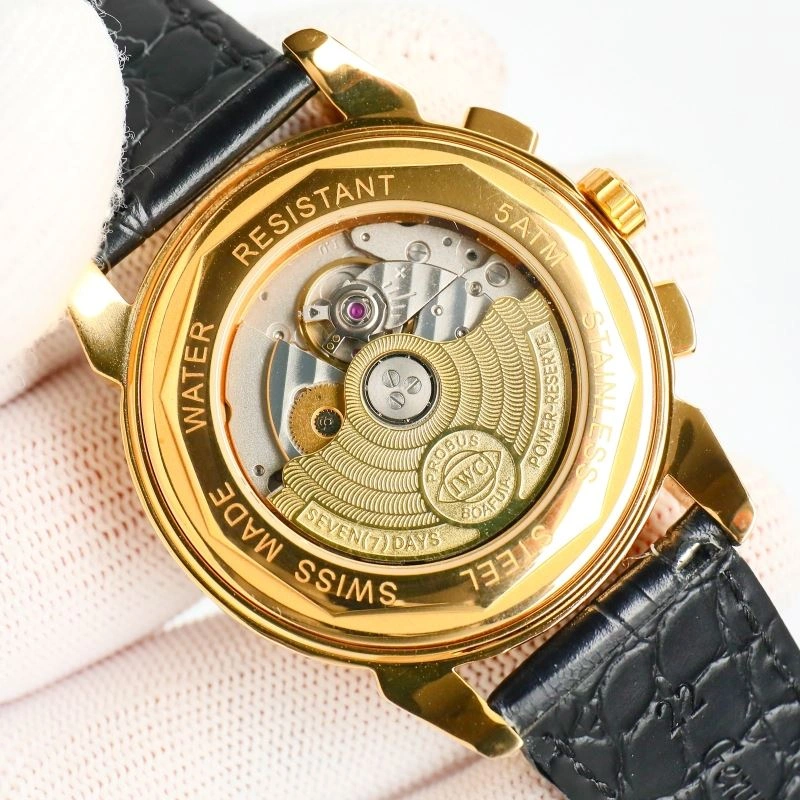 Reasonably priced IWC Watches