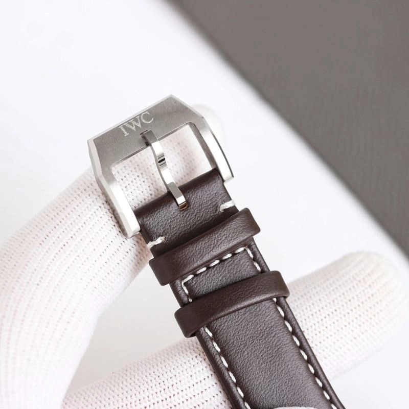 Affordable IWC Watches