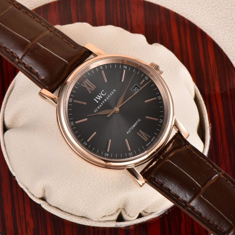 Indistinguishable IWC Watches