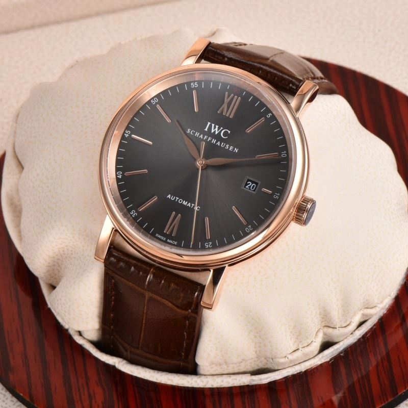 Indistinguishable IWC Watches