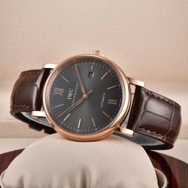 Indistinguishable IWC Watches