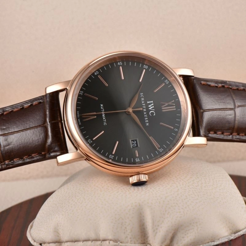Indistinguishable IWC Watches