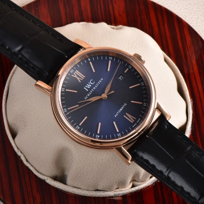 Discounted IWC Watches