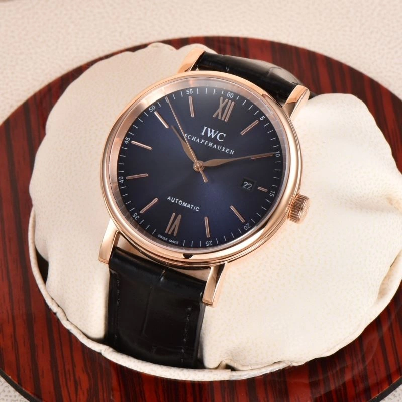 Discounted IWC Watches