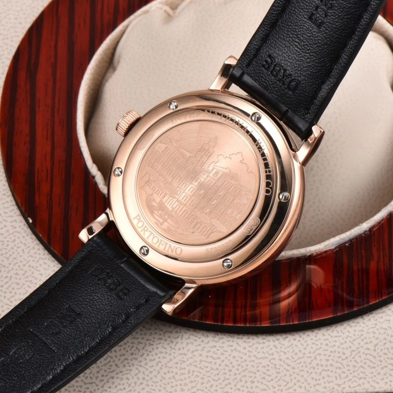 Discounted IWC Watches