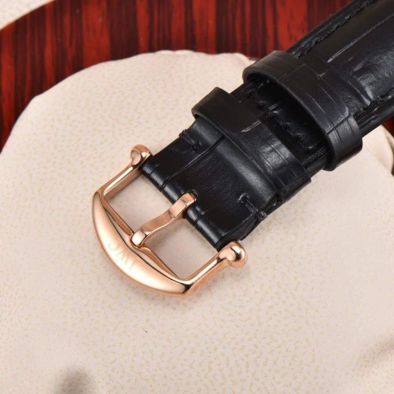 Discounted IWC Watches