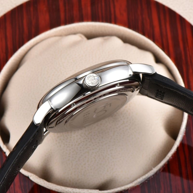 Accurate model IWC Watches